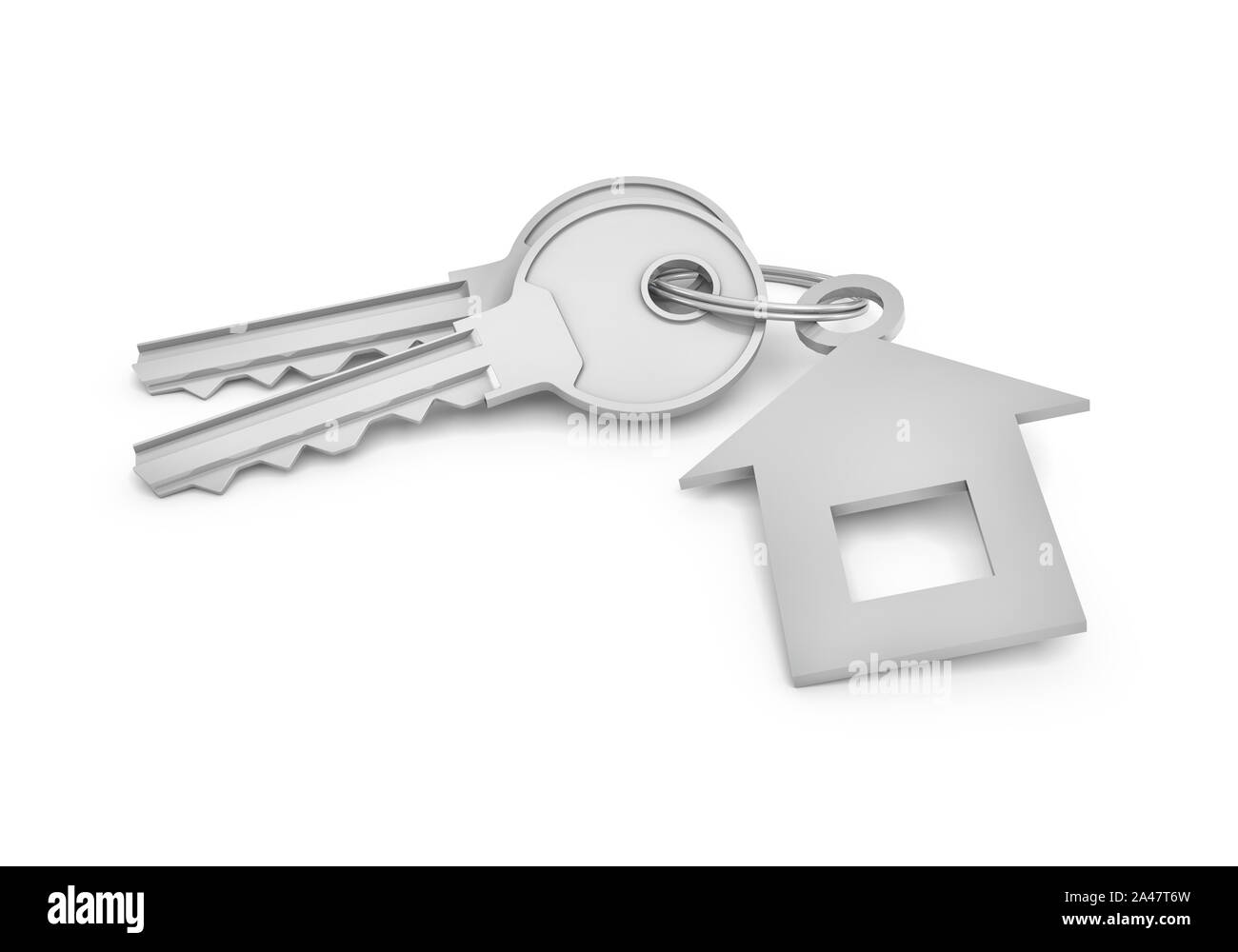 3d rendering of two isolated silver keys on a key ring with label ...