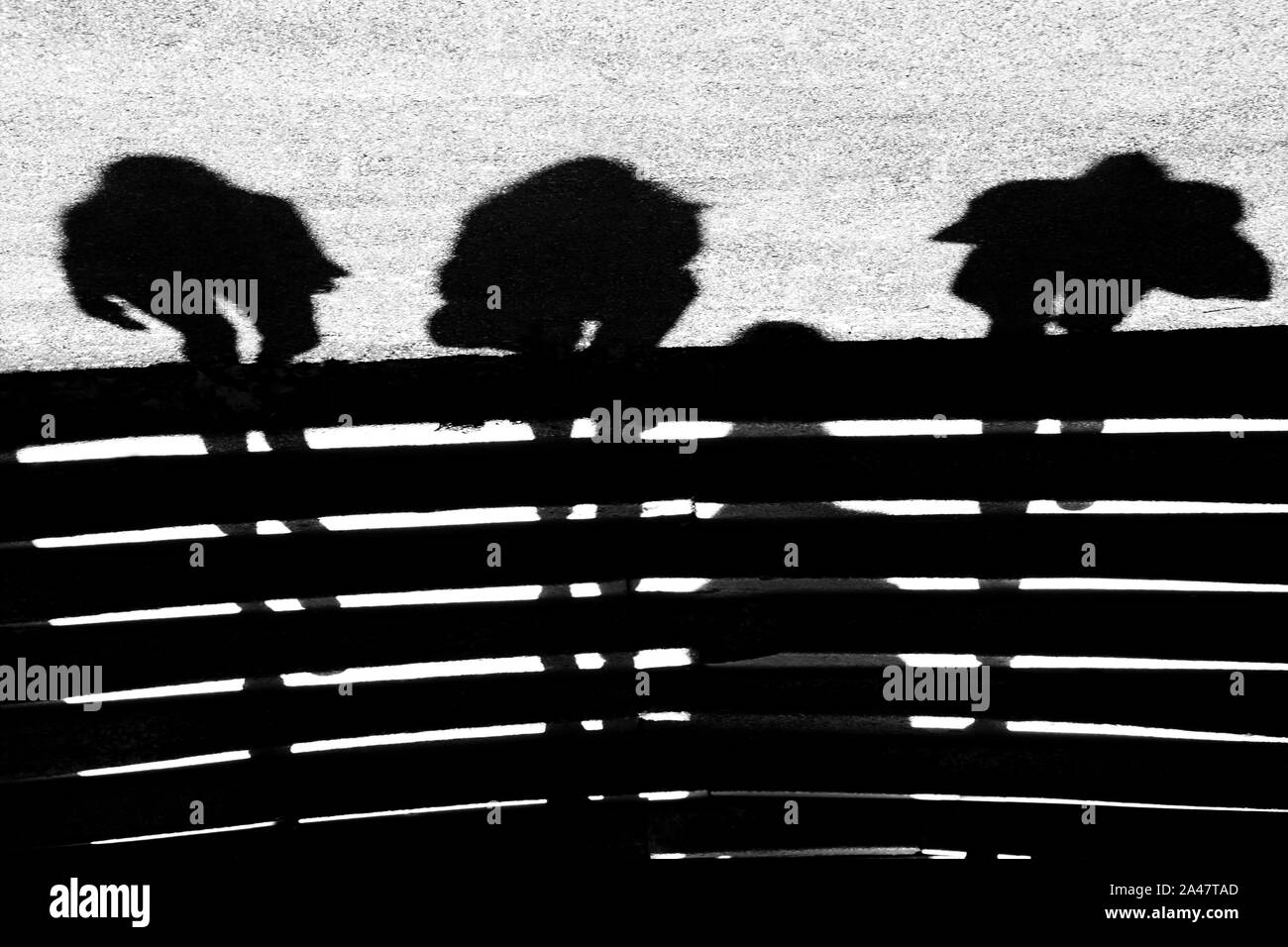 Rhythm is Black and White Stock Photos & Images - Alamy