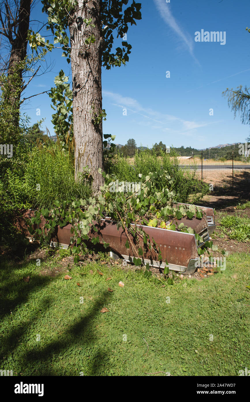 Growing into rust hi-res stock photography and images - Alamy