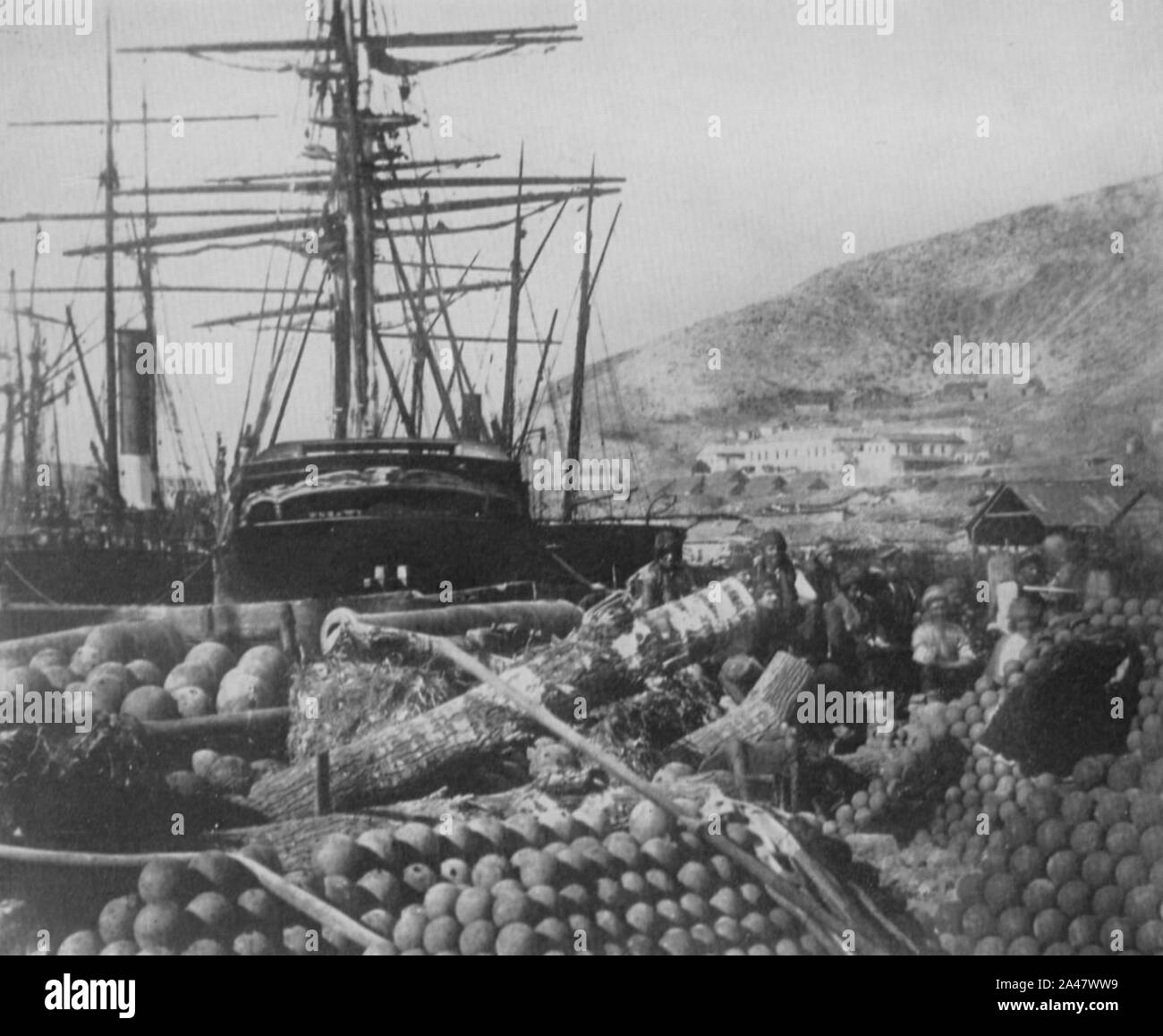 Fenton, Roger - Versorgungskai, Balaclava Stock Photo - Alamy