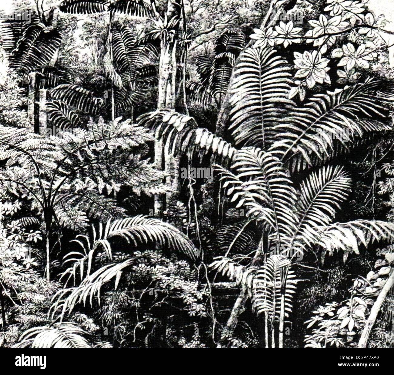 Ferdinand bellermann hi-res stock photography and images - Alamy