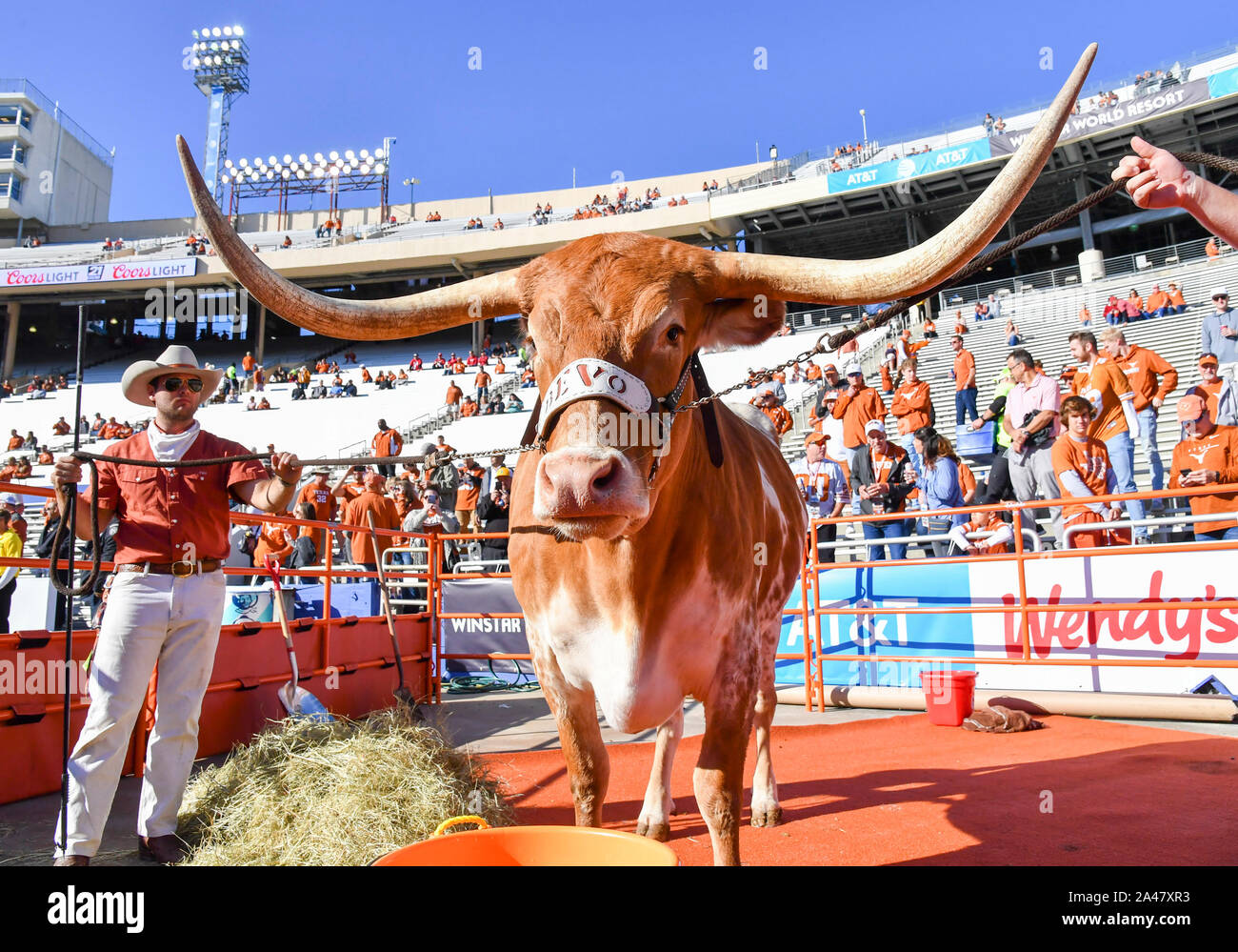 Oct 12, 2019: The Texas Longhorns mascot Bevo before the NCAA Red River ...