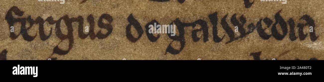 Fergus of Galloway Stock Photo - Alamy