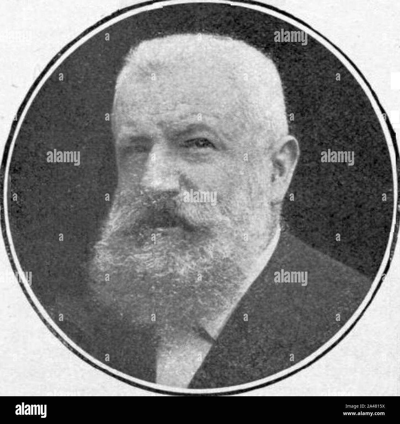 Fernand forest hi-res stock photography and images - Alamy