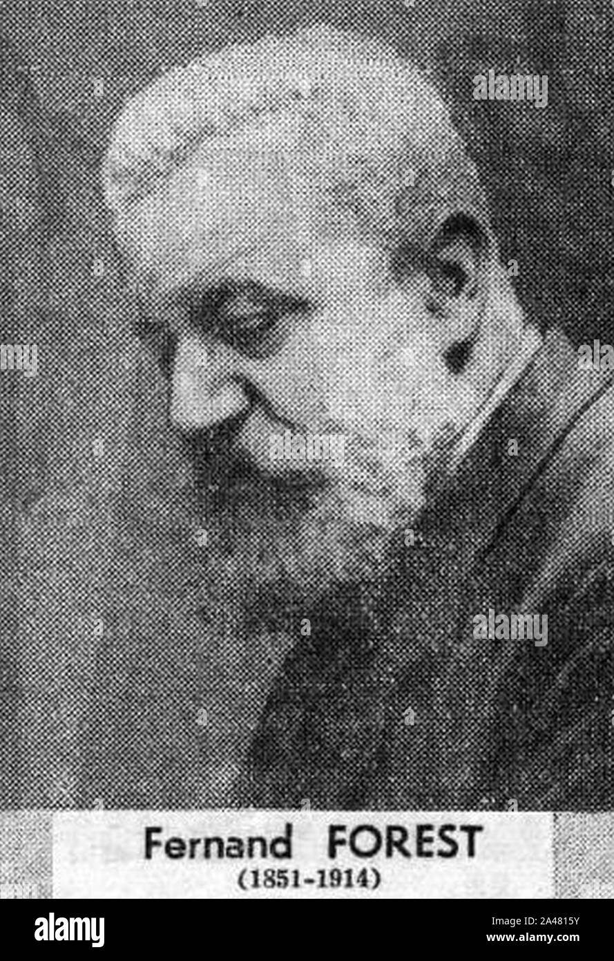 Fernand forest hi-res stock photography and images - Alamy