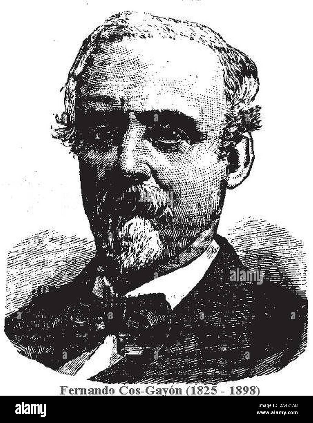 Cos Cut Out Stock Images & Pictures - Alamy