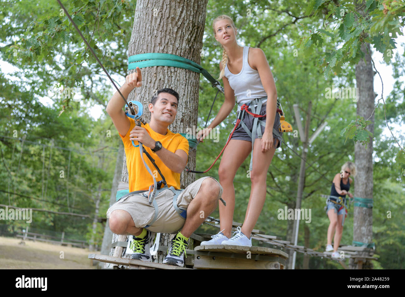 Adult woman climbing trees hi-res stock photography and images - Alamy