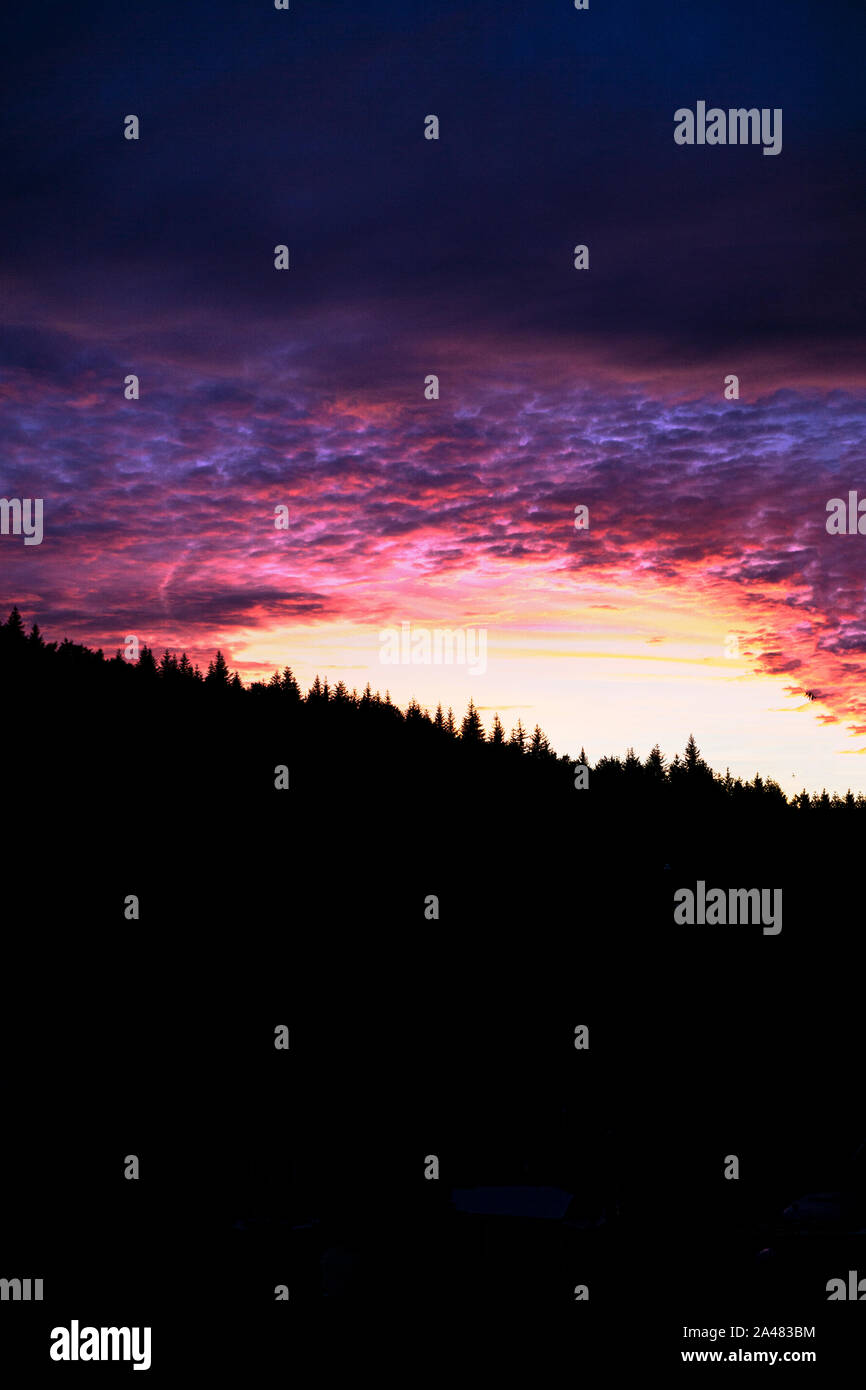 Vivid warm color hi-res stock photography and images - Alamy