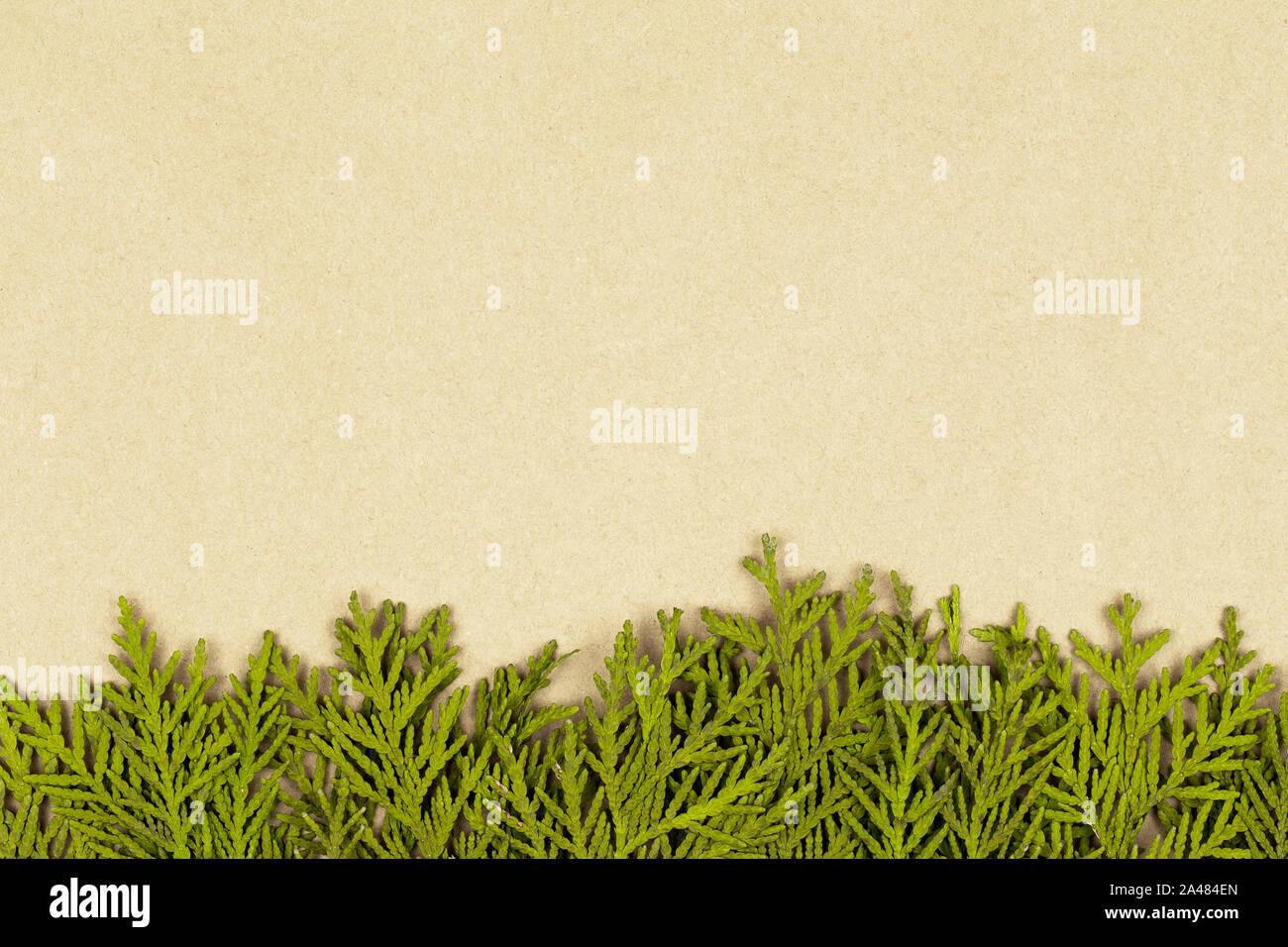 Christmas tree frame. On paper background. Copy space background, top ...