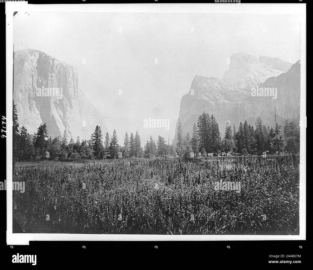 Yosemite national park history Black and White Stock Photos & Images ...
