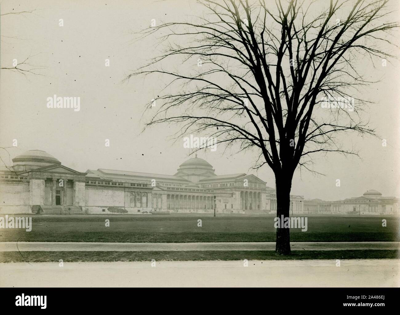 Field Museum, Chicago, December 28, 1913 Stock Photo - Alamy