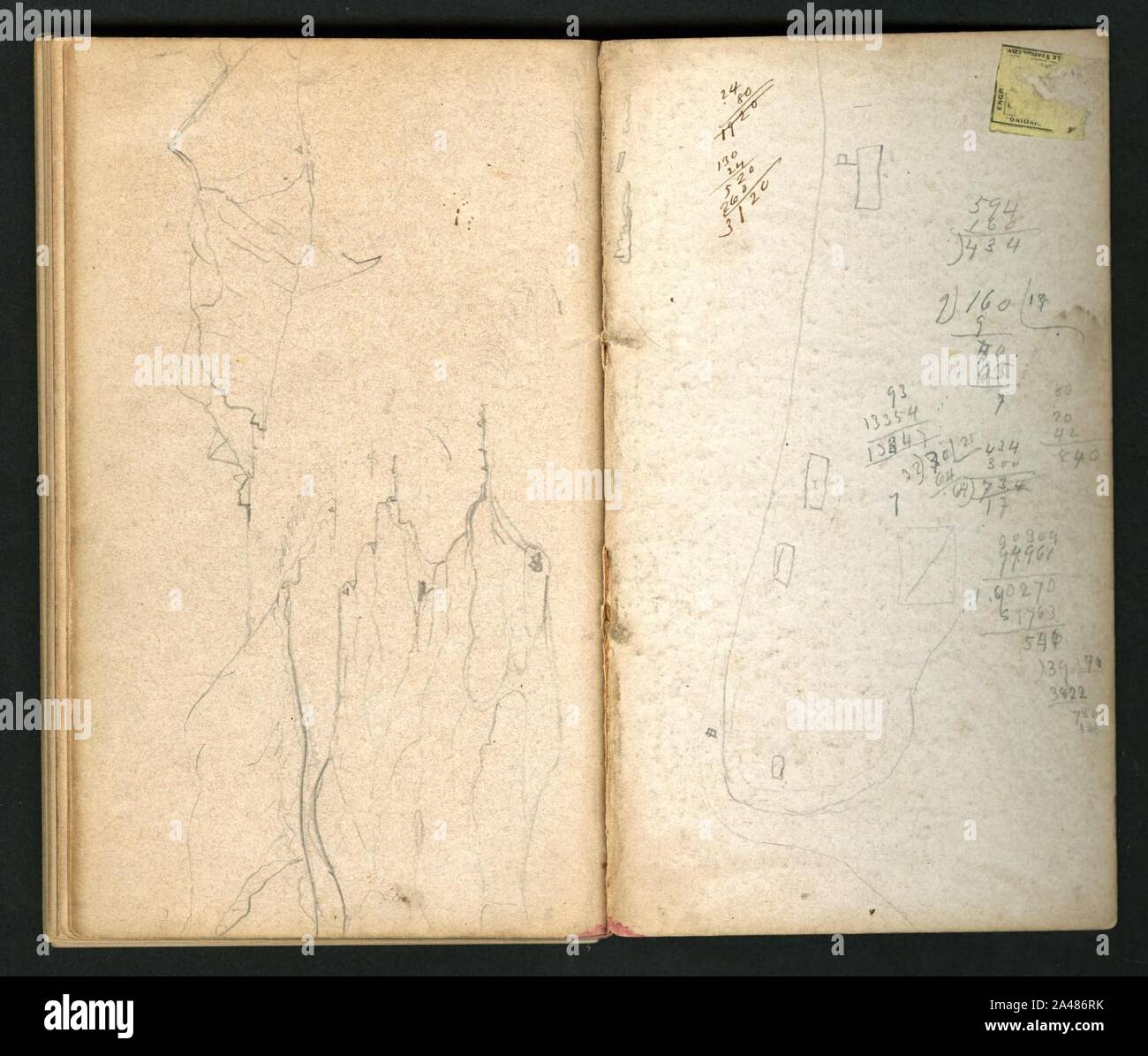 Field notes, 1871-1872 Stock Photo - Alamy