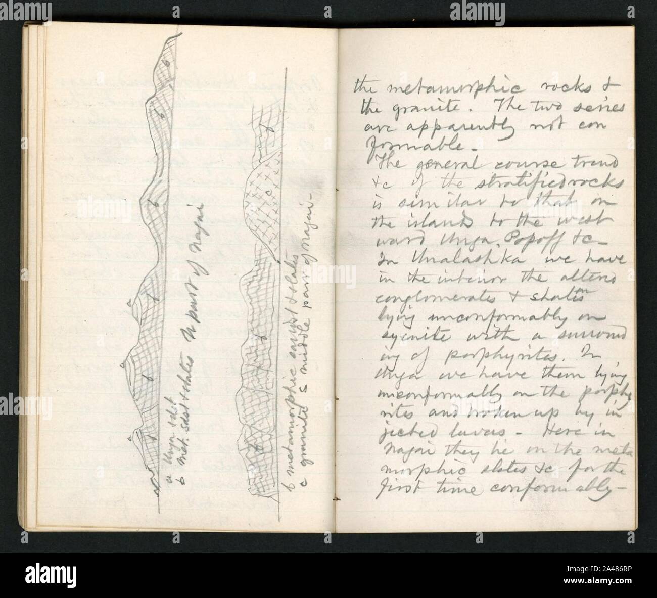 Field notes, 1871 (Pages 87 and 88 Stock Photo - Alamy