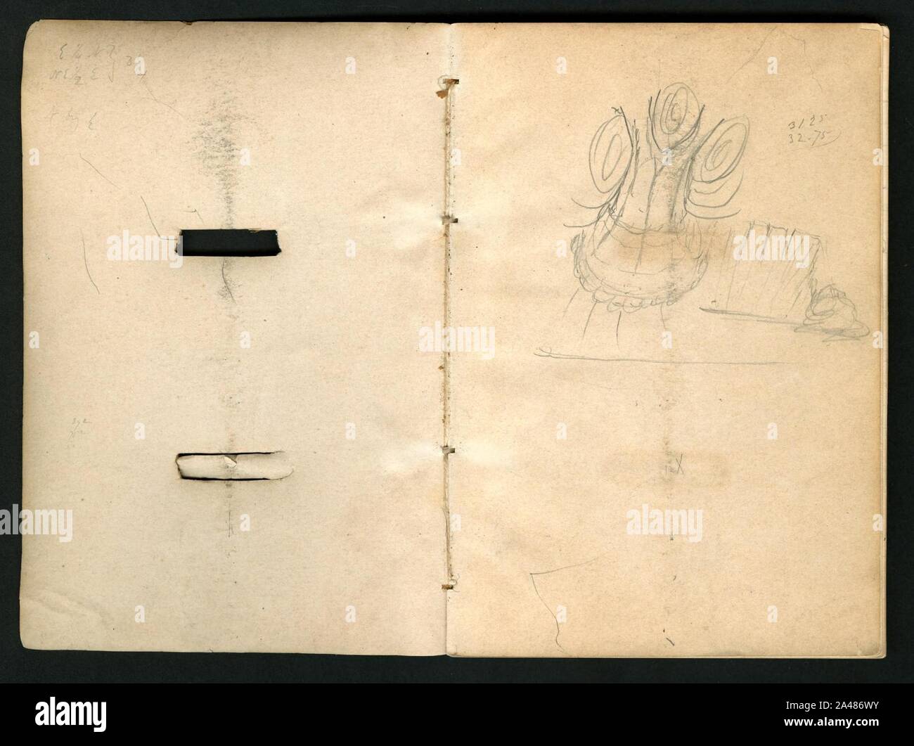 Historical field notes hi-res stock photography and images - Alamy