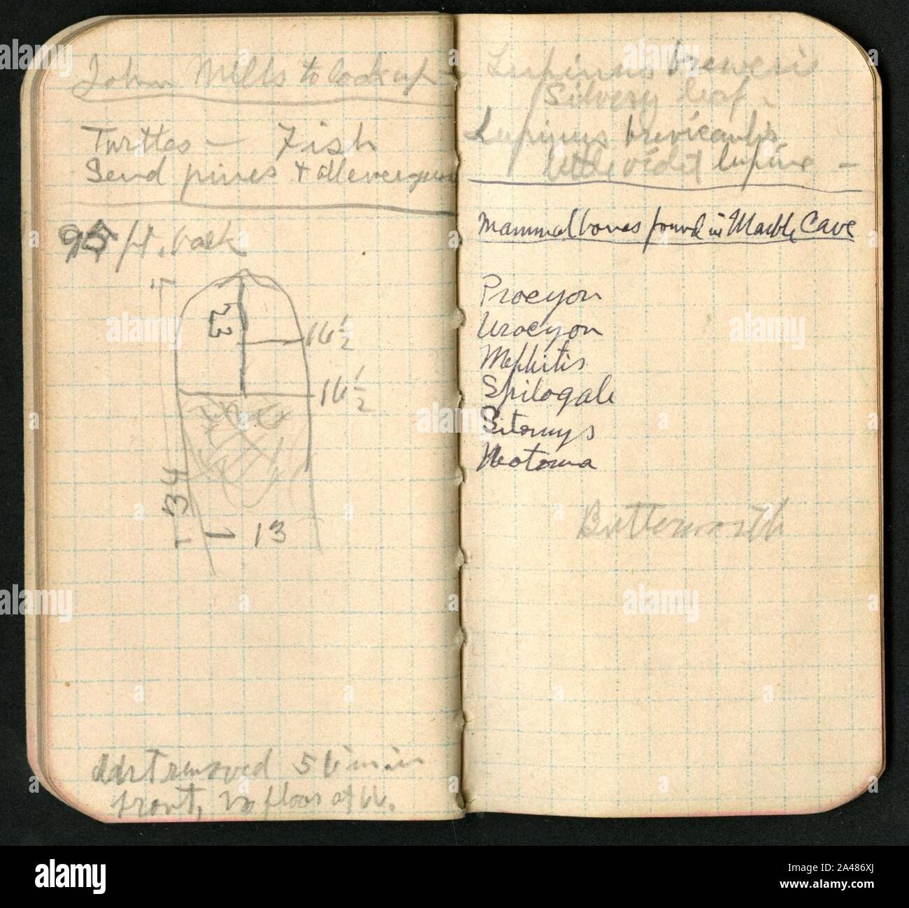 20 june 1892 hi-res stock photography and images - Alamy