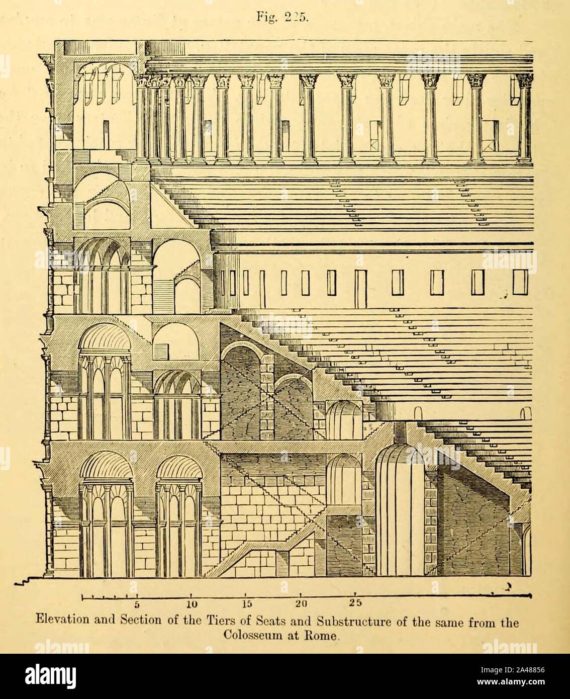Fig 225 Cross section of Colosseum, Rome Stock Photo - Alamy