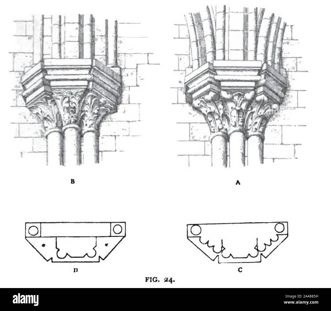 Vaulting system hi-res stock photography and images - Alamy