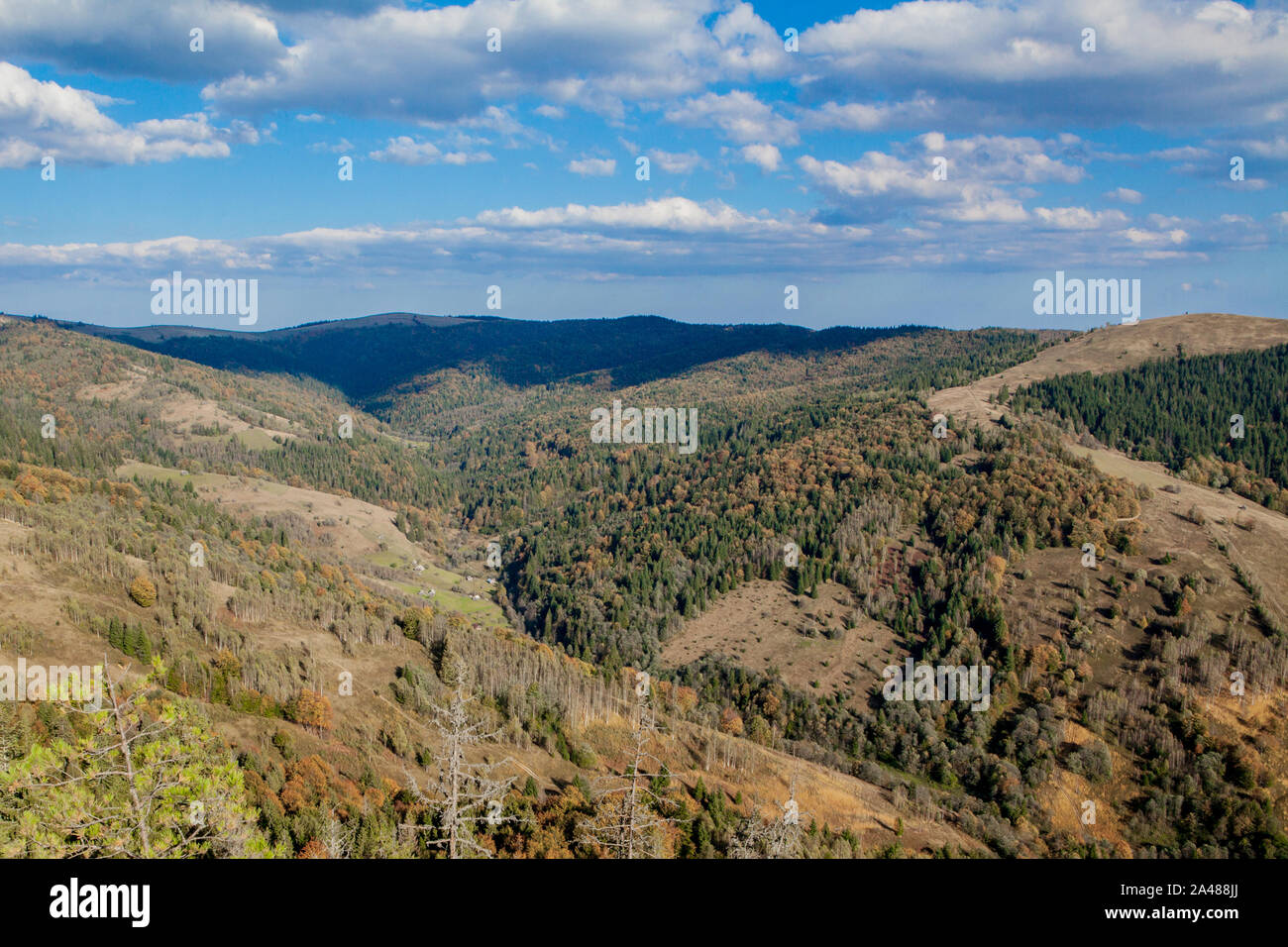 Beautiful mountain landscape, with mountain peaks covered with forest ...