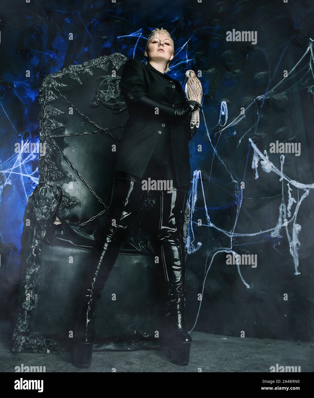 Photo of a female witch queen holding bird and sitting on a gothic ...