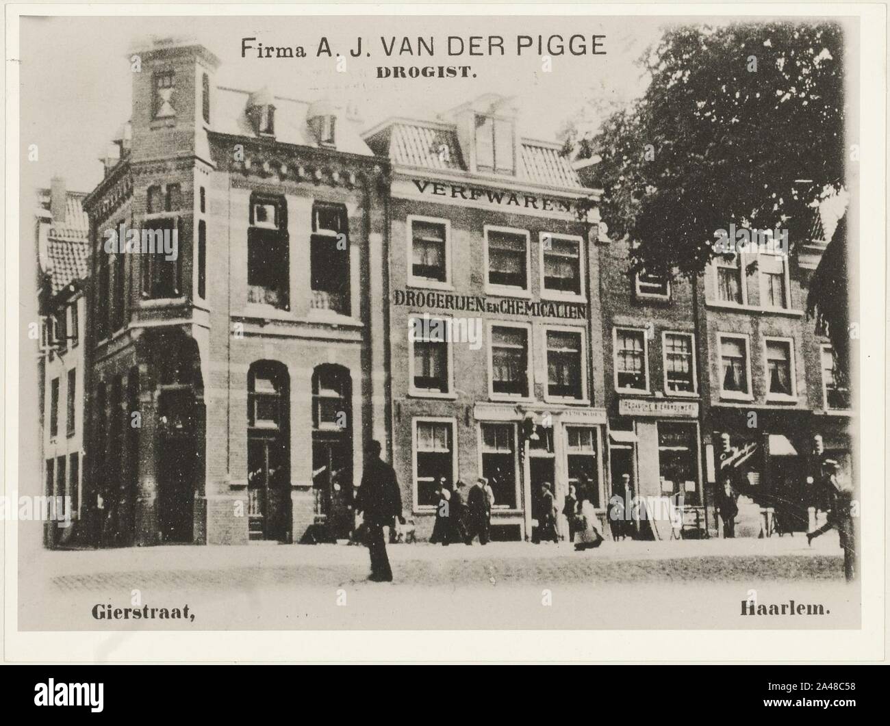 Pigge hi-res stock photography and images - Alamy