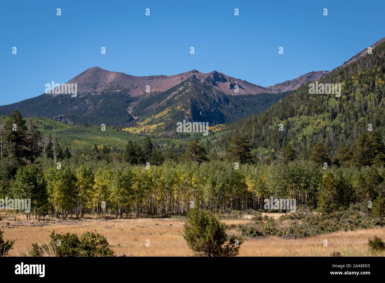 Beautiful fall mountainside Stock Photo - Alamy