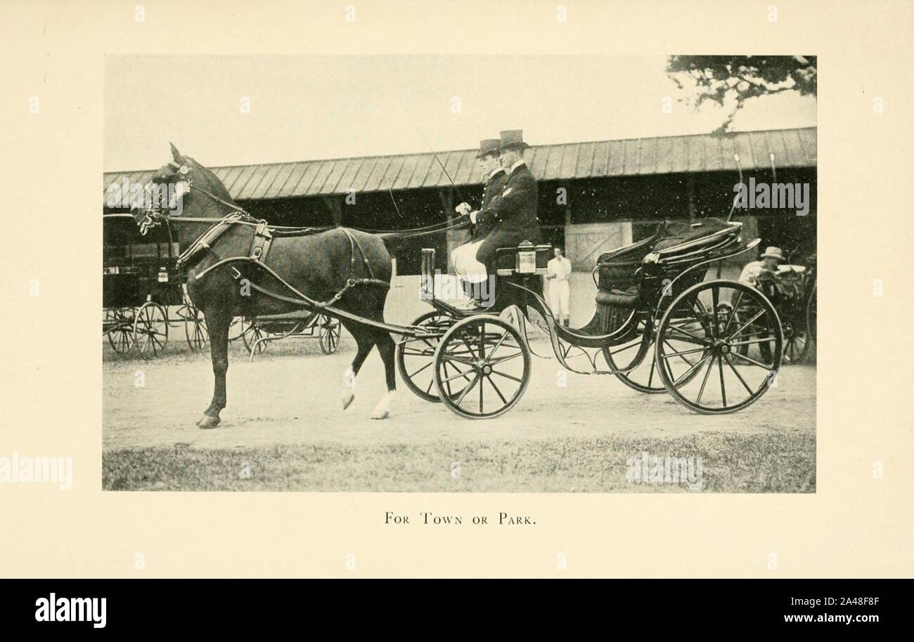 First-hand bits of stable-lore - by Francis M. Ware; illustrated from ...