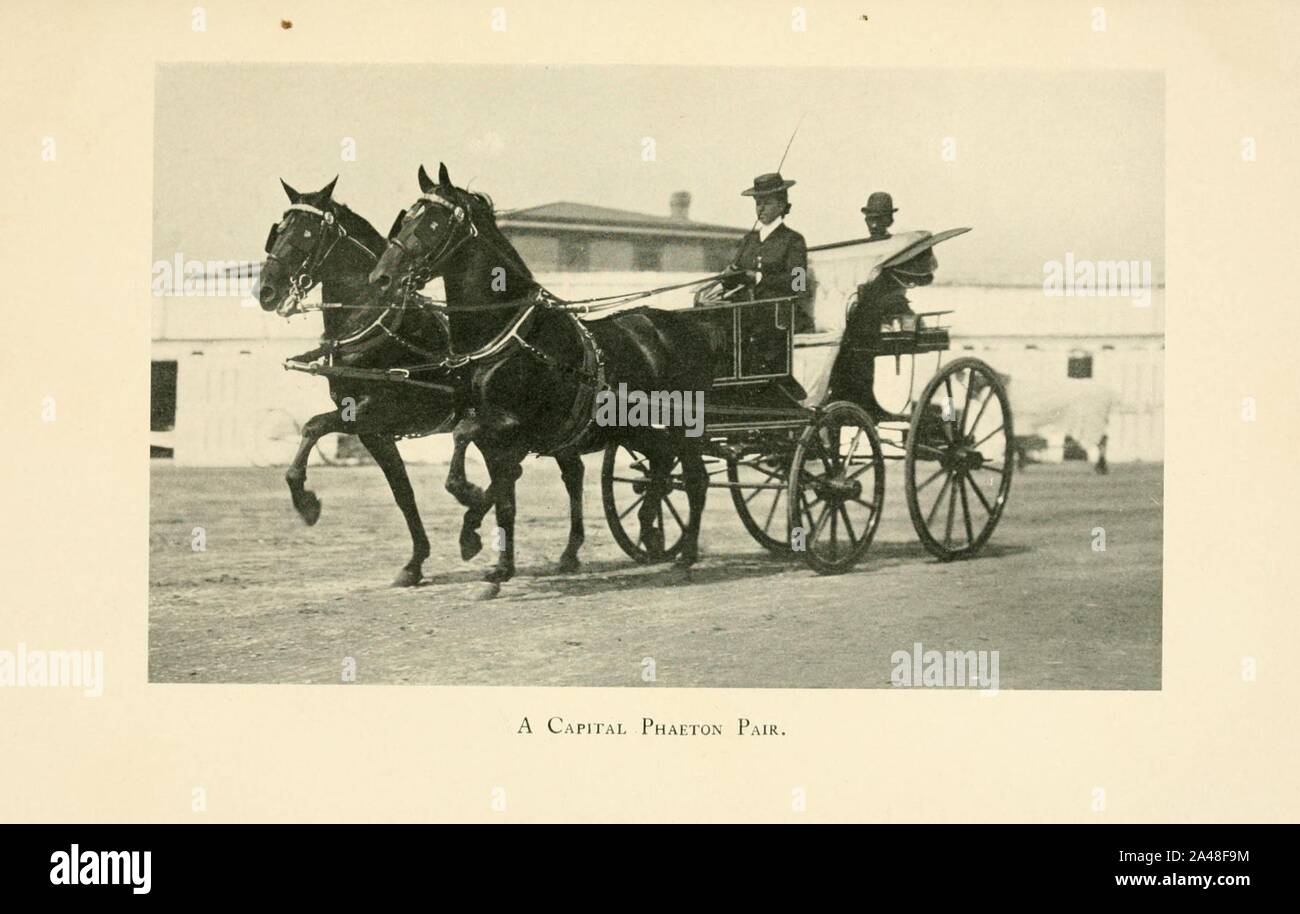 Illustrated with photographs hi-res stock photography and images - Alamy