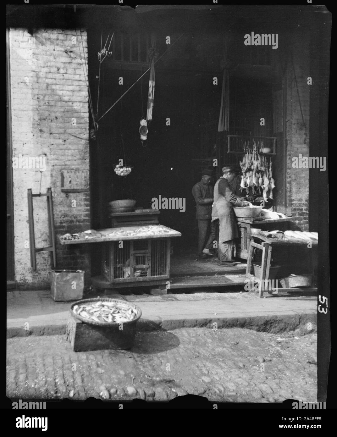 Fish Alley, Chinatown, San Francisco Stock Photo - Alamy