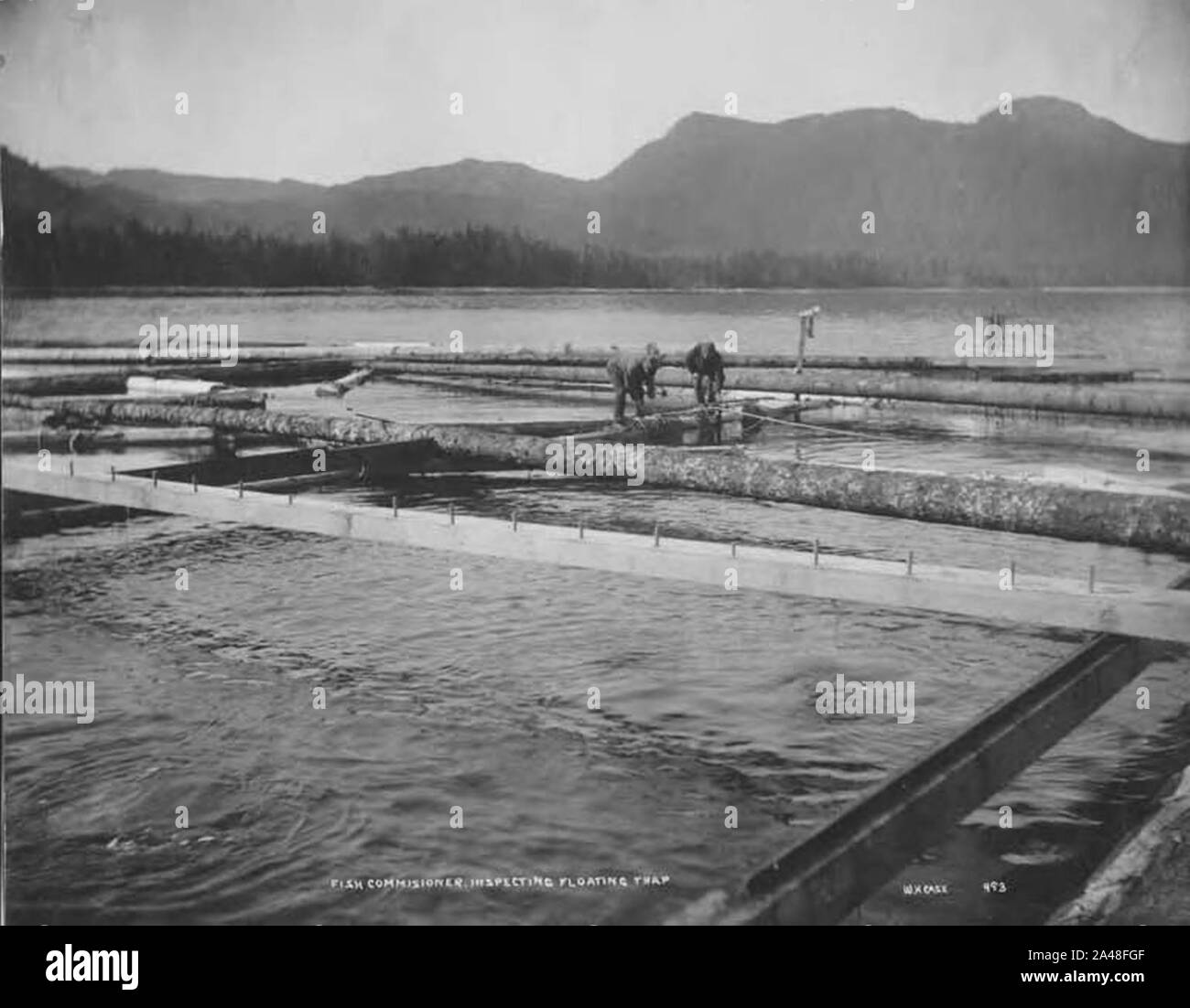 Fish commissioner inspecting floating trap Alaska between 1903 and 1913 ...