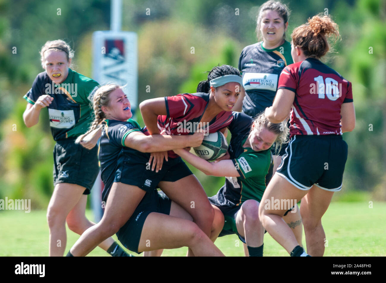 Southern Pines, North Carolina, USA. 12th Oct, 2019. Oct. 12, 2019 ...