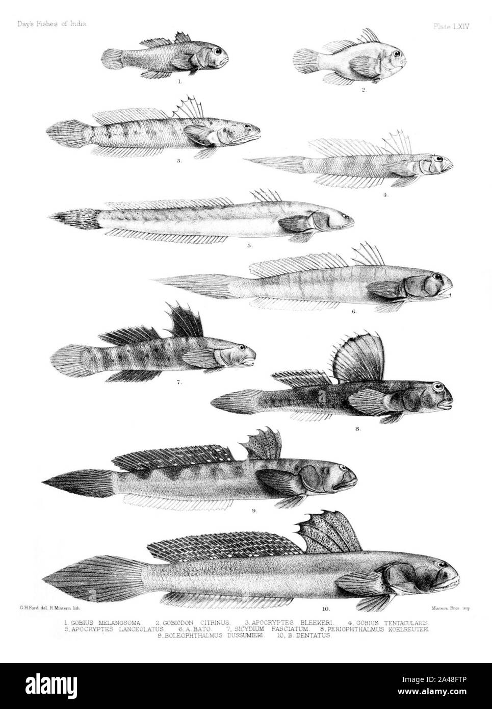 Lxiv hi-res stock photography and images - Alamy