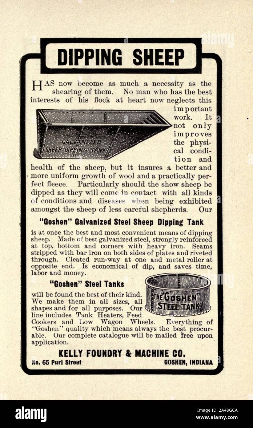 Fitting sheep hi-res stock photography and images - Alamy