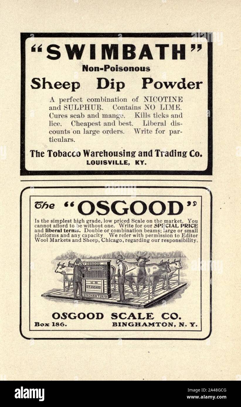 Fitting sheep hi-res stock photography and images - Alamy