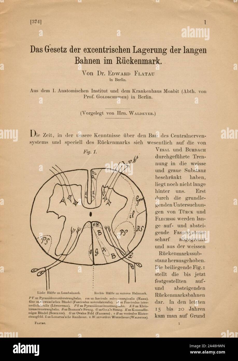 Flatau hi-res stock photography and images - Alamy