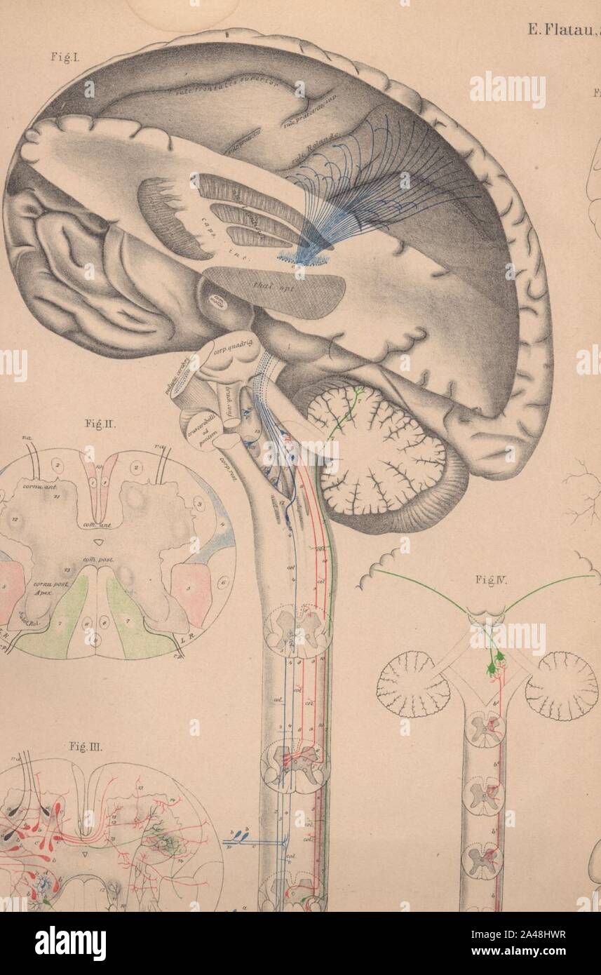 Flatau hi-res stock photography and images - Alamy