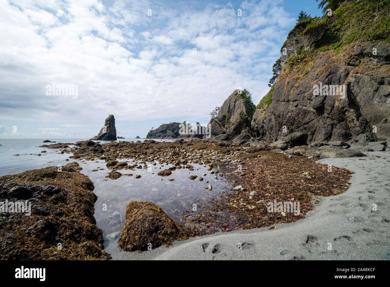 Point of arches olympic national park hi-res stock photography and ...