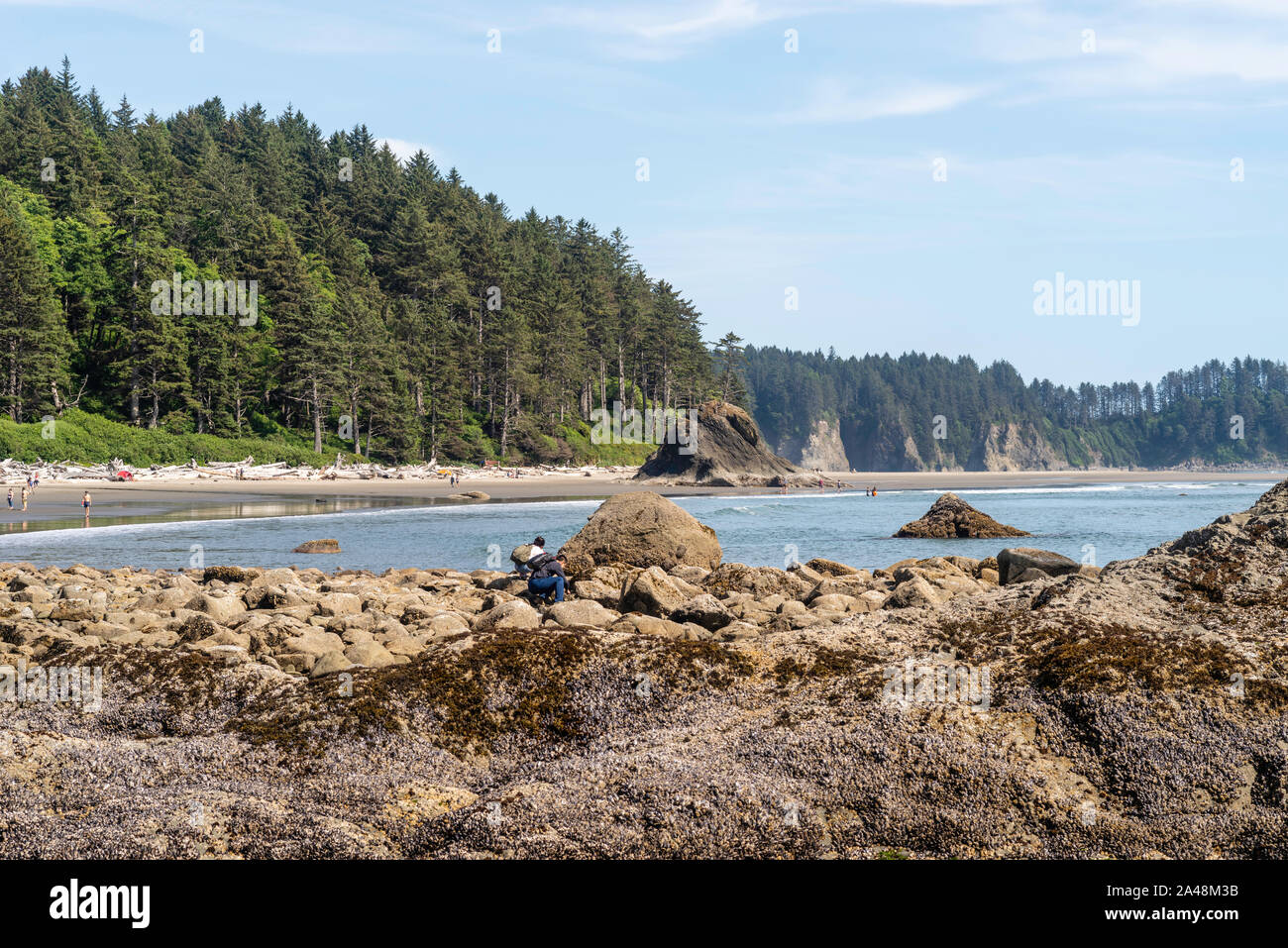 People enjoy Second Beach, Olympic National Park, Washington, USA Stock ...