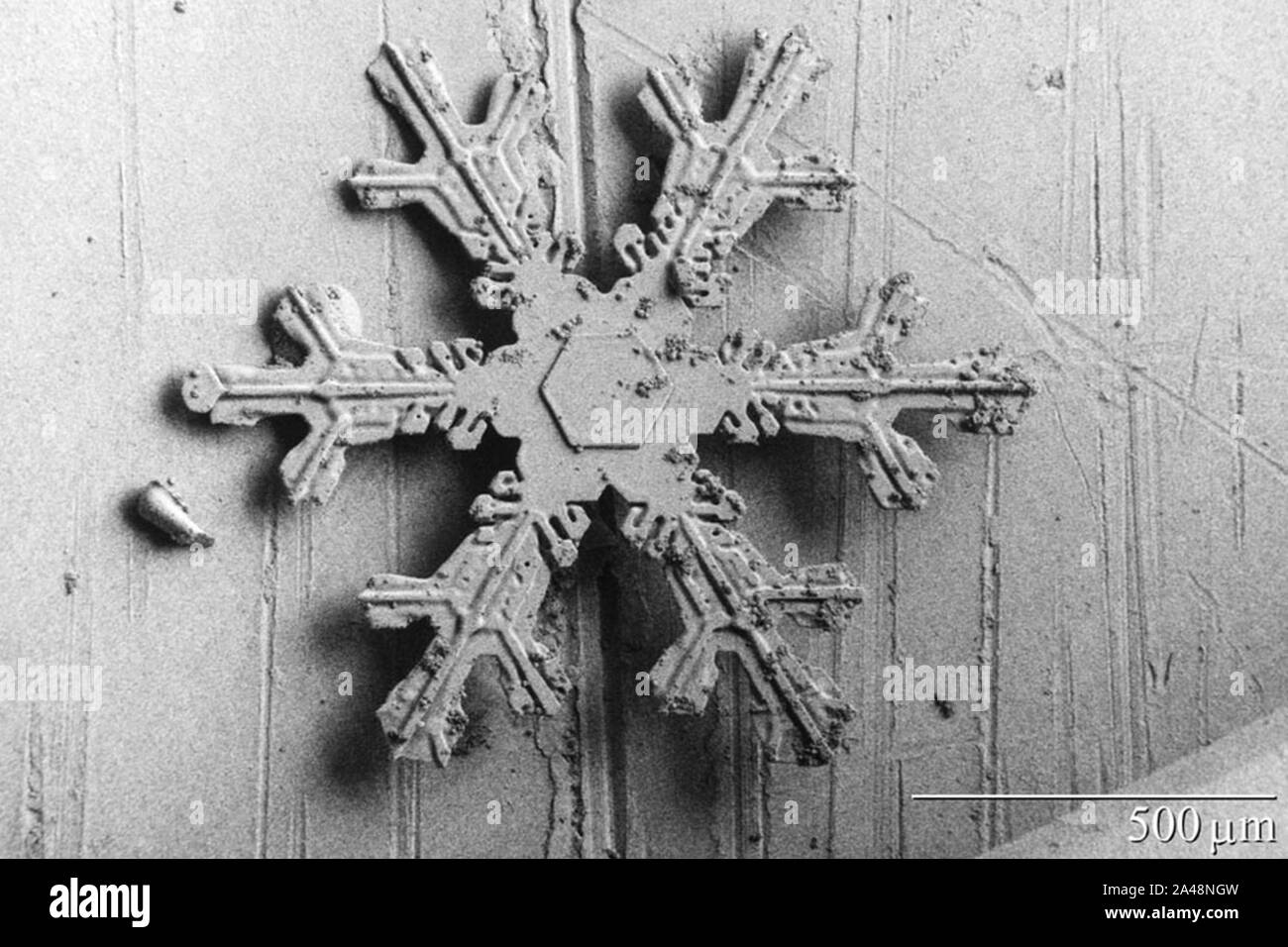 Dendrit hi-res stock photography and images - Alamy