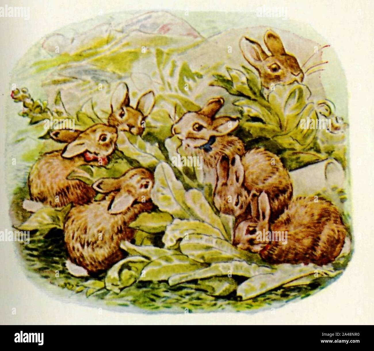 Flopsy bunnies hi-res stock photography and images - Alamy