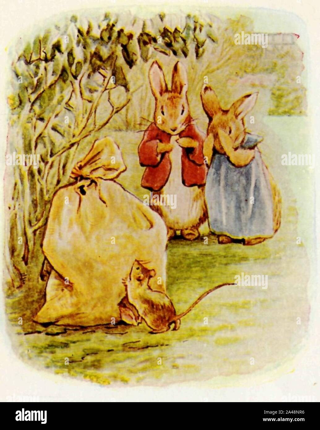 Flopsy bunnies hi-res stock photography and images - Alamy