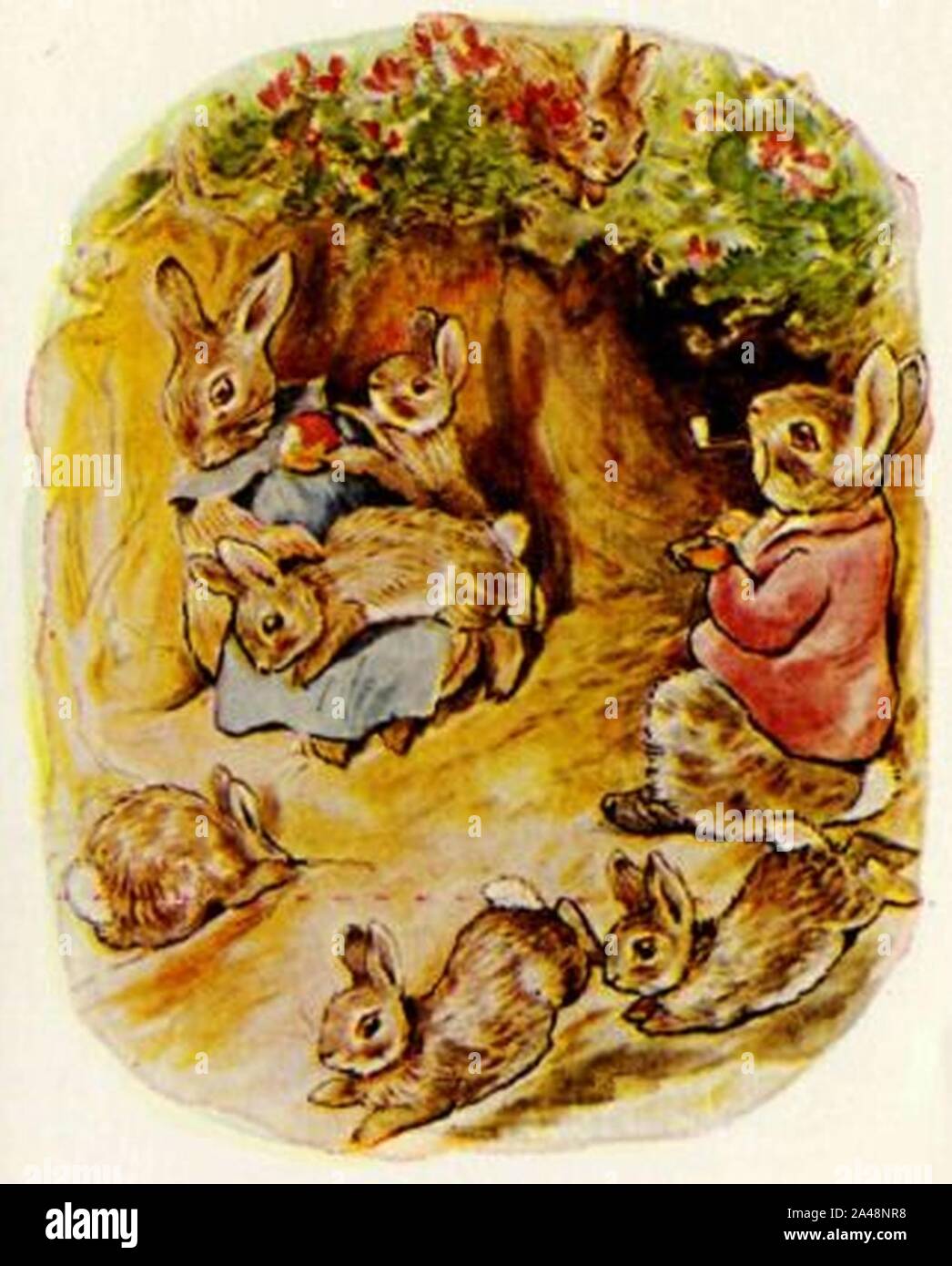 Flopsy bunnies hi-res stock photography and images - Alamy