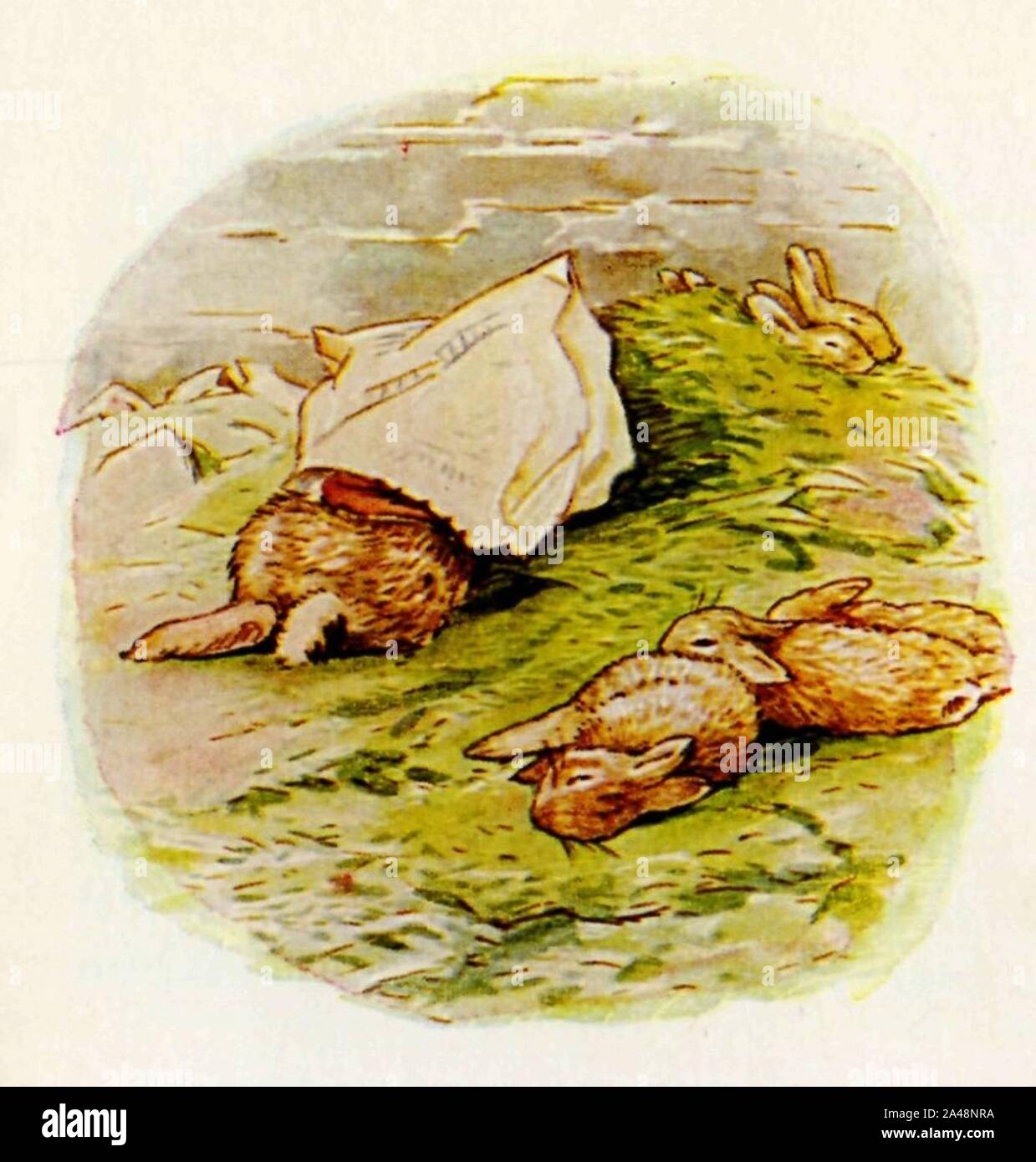 Flopsy bunnies hi-res stock photography and images - Alamy