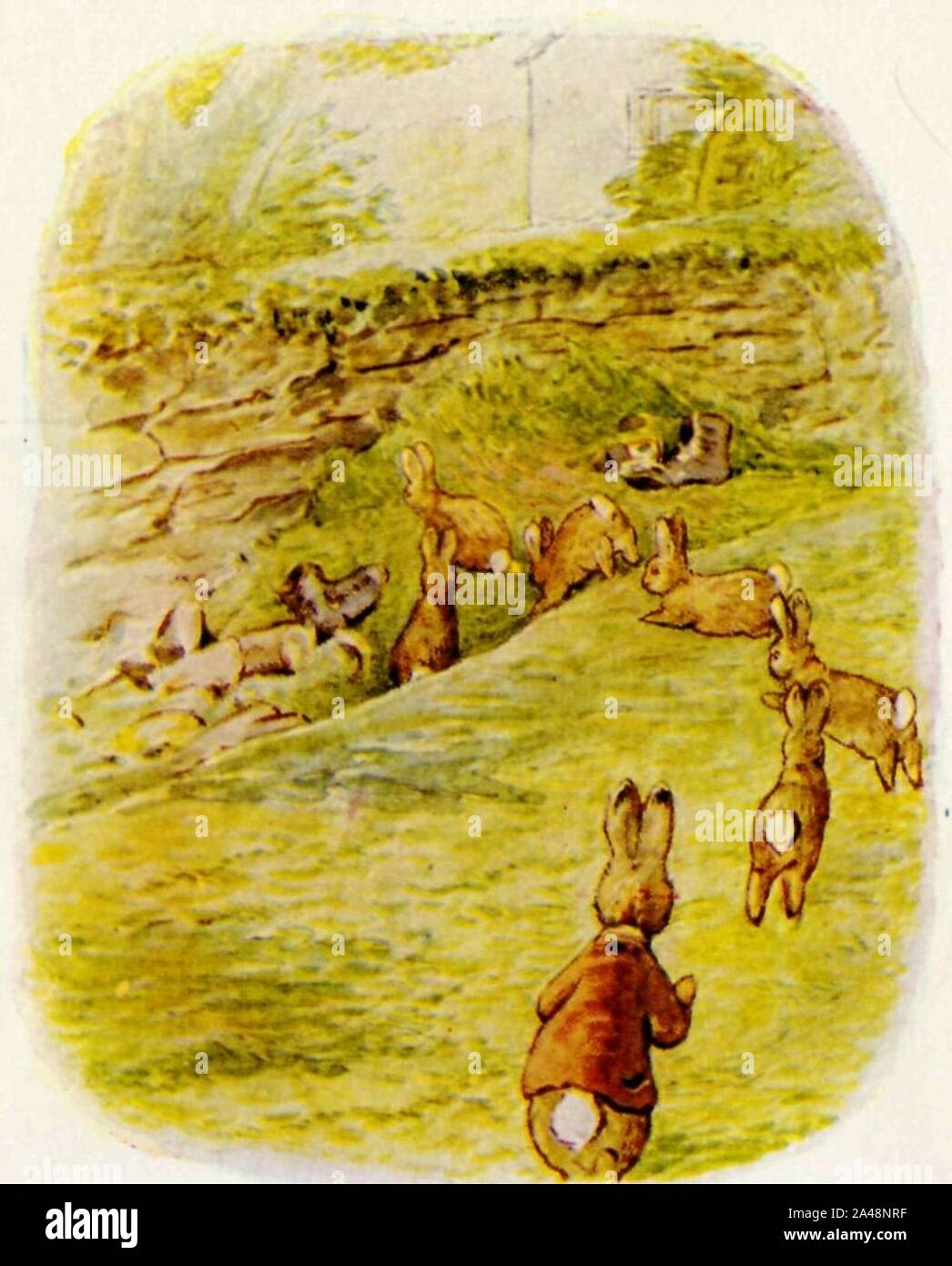 Flopsy hi-res stock photography and images - Alamy