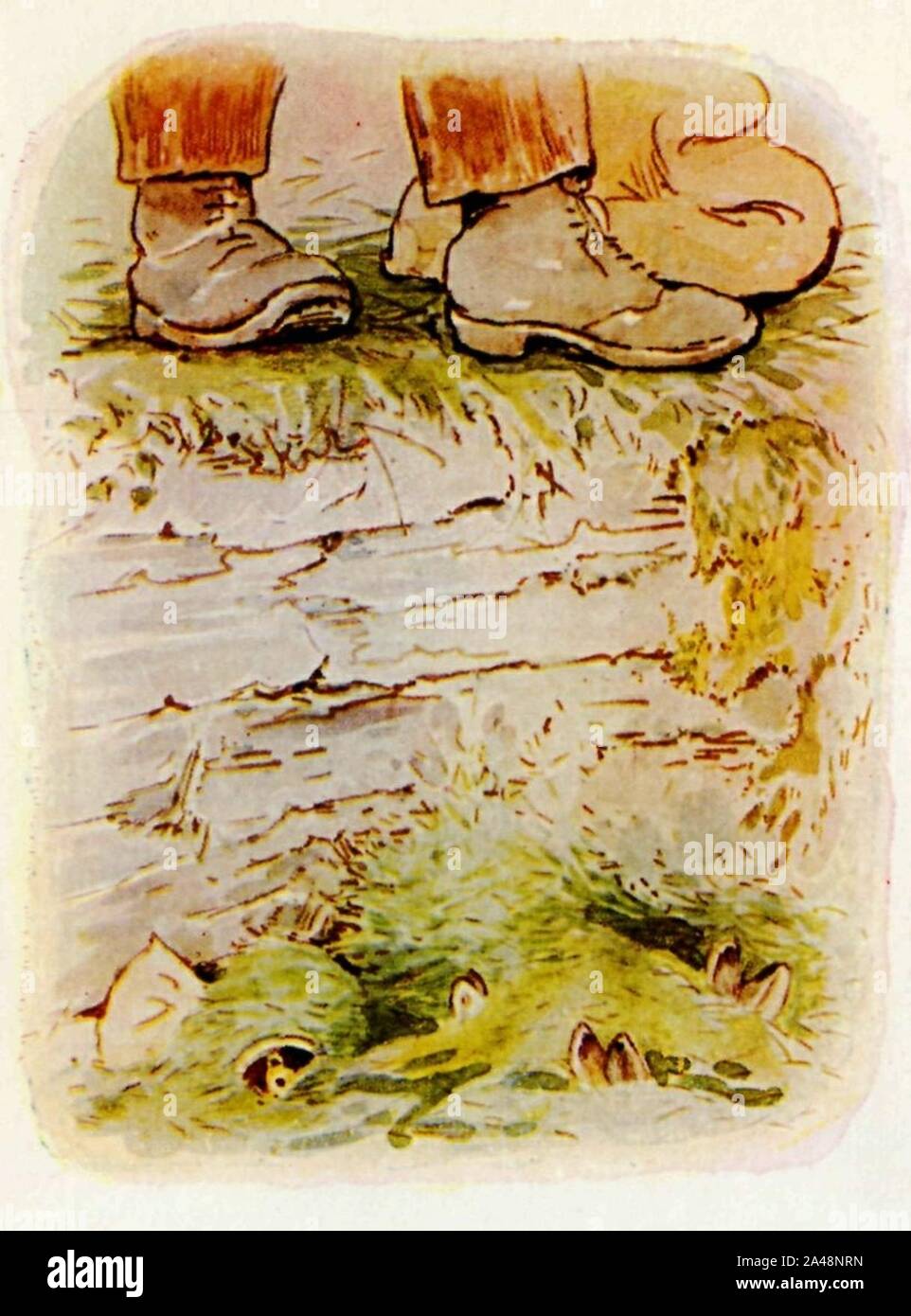 Flopsy hi-res stock photography and images - Alamy