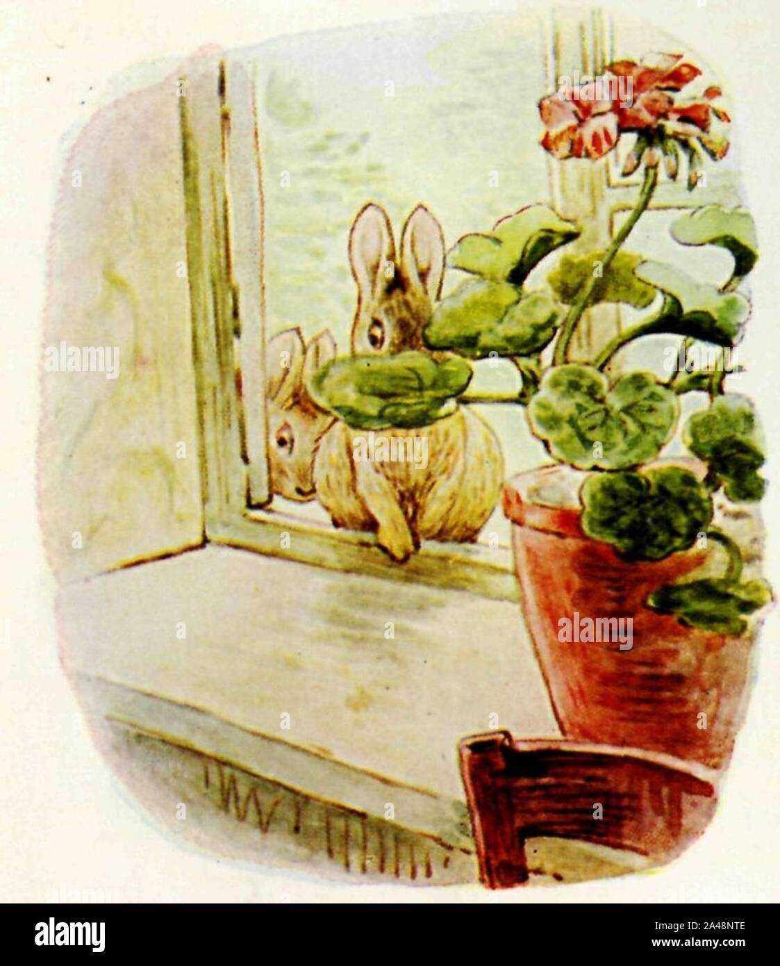 Flopsy bunnies hi-res stock photography and images - Alamy