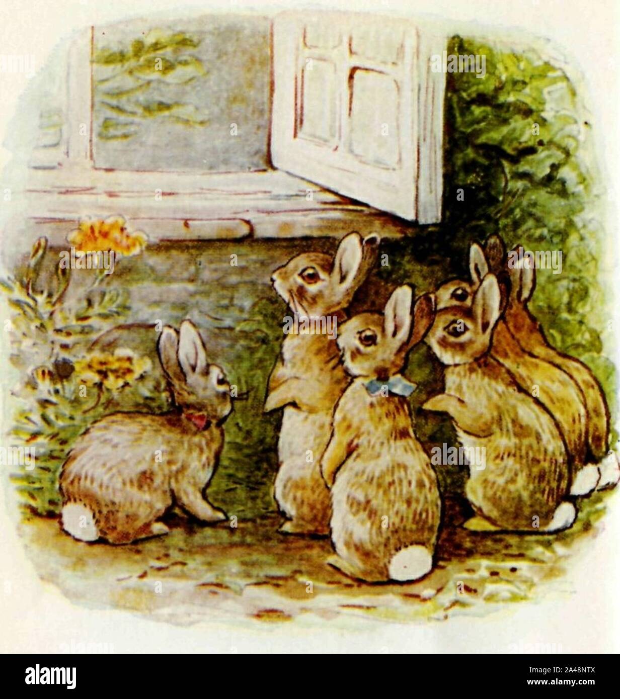 Flopsy bunnies hi-res stock photography and images - Alamy