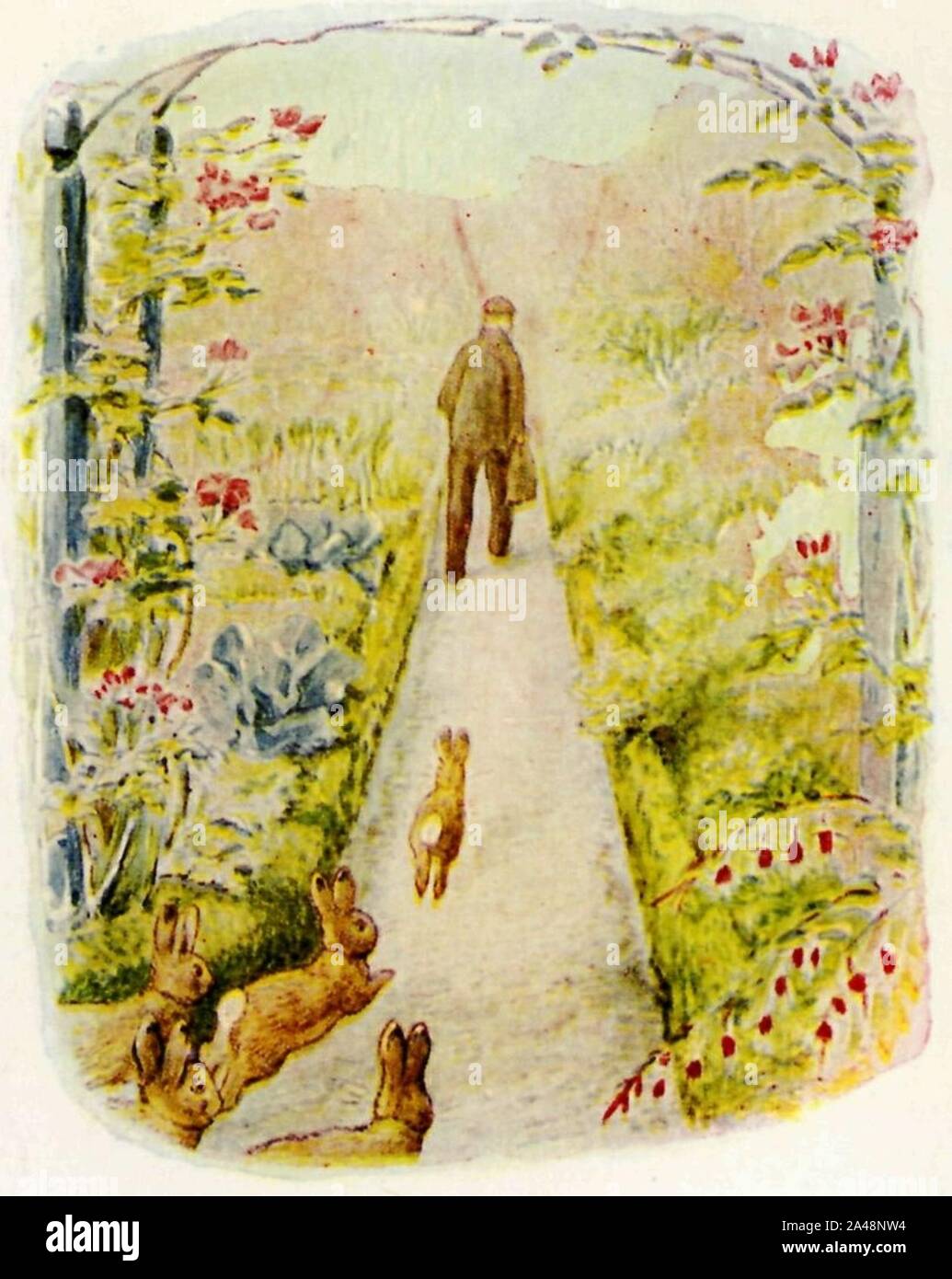 Flopsy hi-res stock photography and images - Alamy