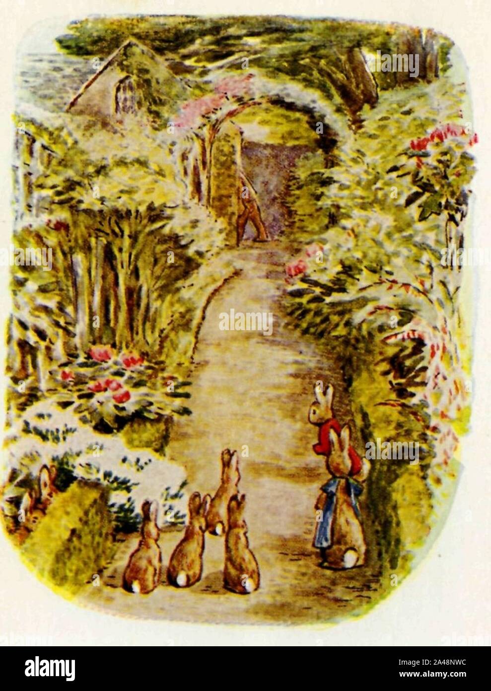 Flopsy hi-res stock photography and images - Alamy