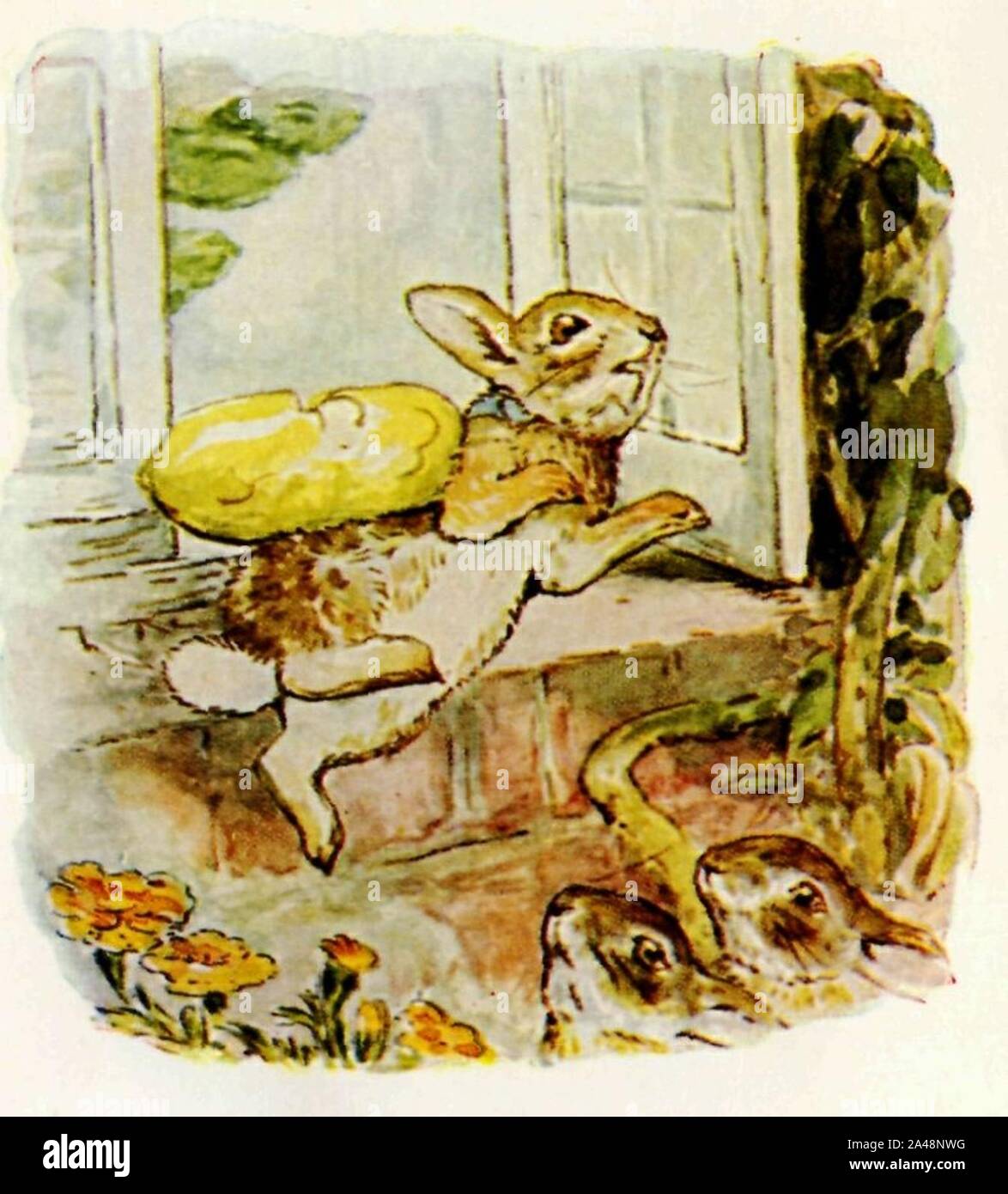 Flopsy bunnies hi-res stock photography and images - Alamy