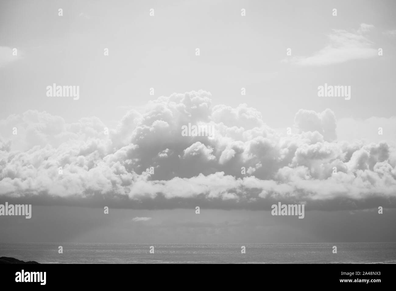 Hovering above Black and White Stock Photos & Images - Alamy